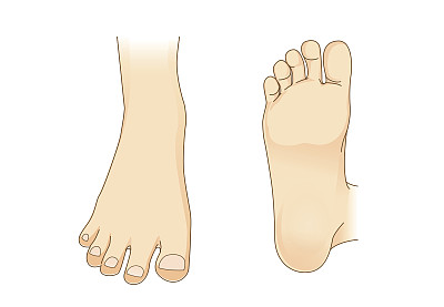 卡通脚掌图片大全,卡通脚掌设计素材,卡通脚掌模板下载,卡通脚掌图库_昵图网 soso.nipic.com