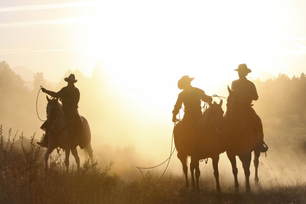 Western图片素材 Western设计素材 Western摄影作品 Western源文件下载 Western图片素材下载 Western ...