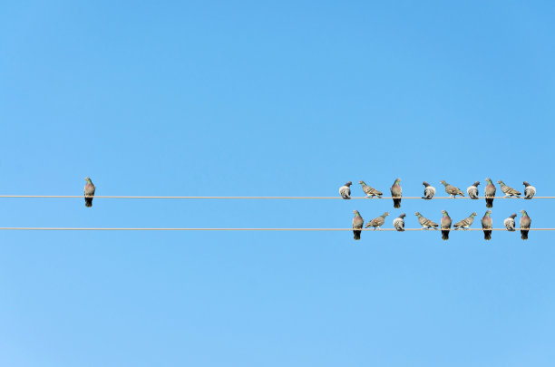 different图片素材 different设计素材 different摄影作品 different源文件下载 different图片素材 ...