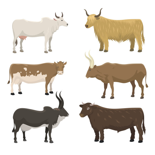 ox图片素材 ox设计素材 ox摄影作品 ox源文件下载 ox图片素材下载 ox背景素材 ox模板下载 - 搜索中心