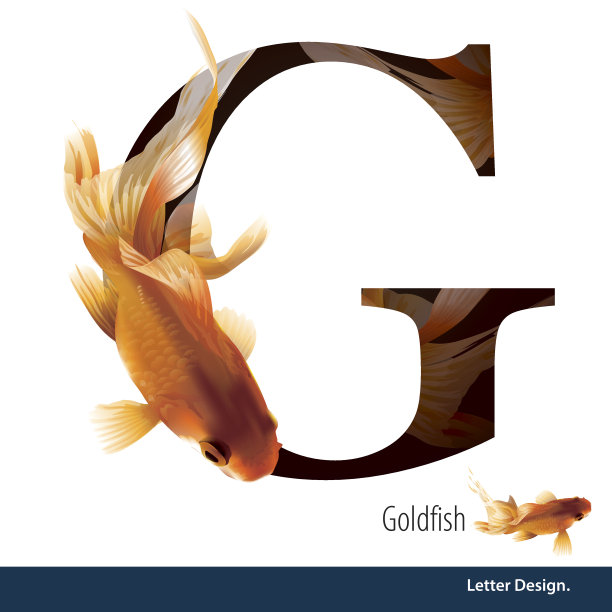 字母LI图片素材 字母LI设计素材 字母LI摄影作品 字母LI源文件下载 字母LI图片素材下载 字母LI背景素材 字母LI模板下载 - 搜索中心