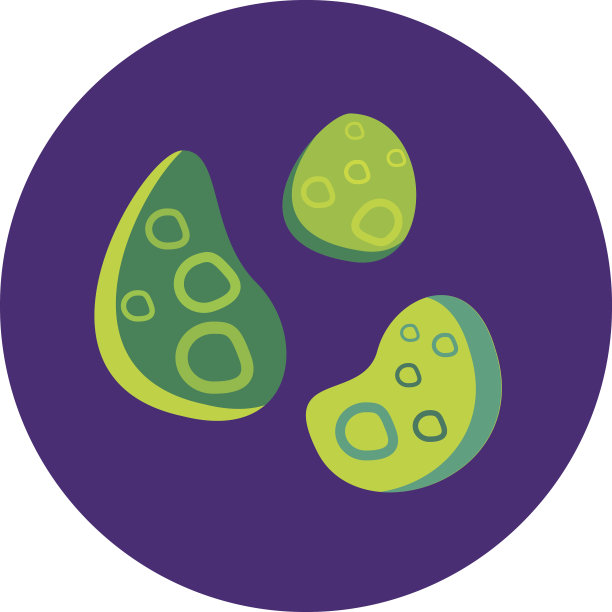 cell图片素材 cell设计素材 cell摄影作品 cell源文件下载 cell图片素材下载 cell背景素材 cell模板下载 - 搜索中心