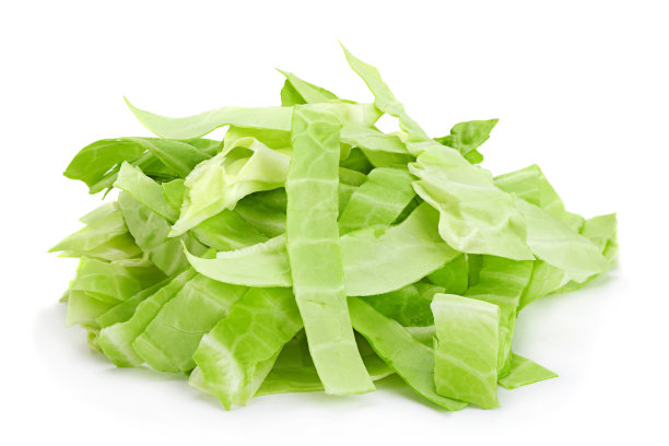 cabbage图片素材 cabbage设计素材 cabbage摄影作品 cabbage源文件下载 cabbage图片素材下载 cabbage ...