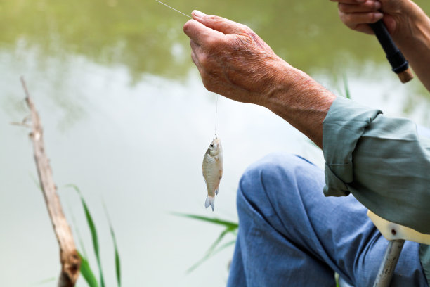 catch图片素材 catch设计素材 catch摄影作品 catch源文件下载 catch图片素材下载 catch背景素材 catch模板 ...