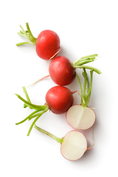 radish图片素材 radish设计素材 radish摄影作品 radish源文件下载 radish图片素材下载 radish背景素材 ...