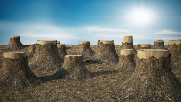 deforestration图片素材 deforestration设计素材 deforestration摄影作品 deforestration ...