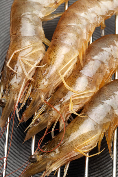 crayfish图片素材 crayfish设计素材 crayfish摄影作品 crayfish源文件下载 crayfish图片素材下载 ...