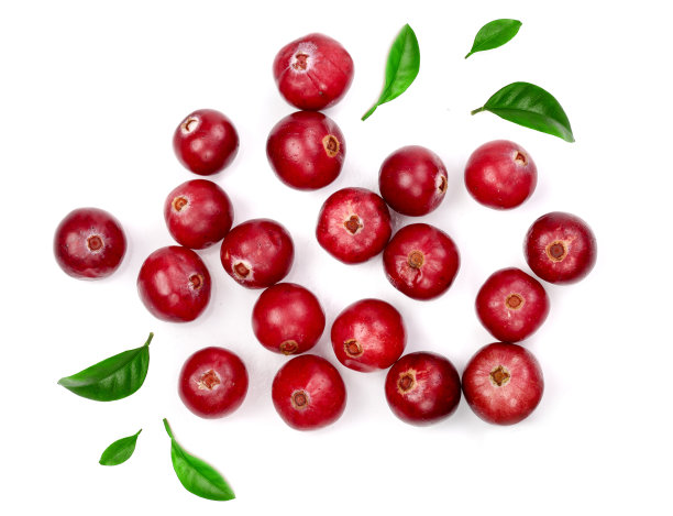 cranberry图片素材 cranberry设计素材 cranberry摄影作品 cranberry源文件下载 cranberry图片素材 ...