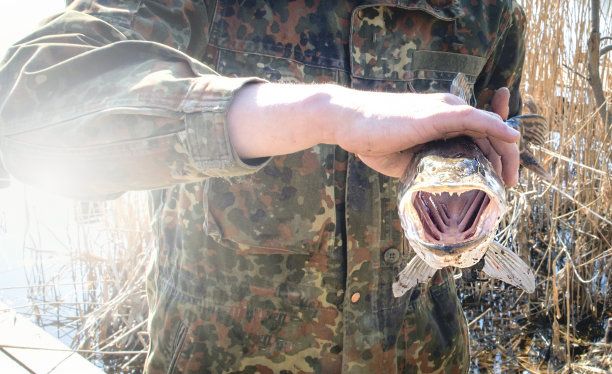 catch图片素材 catch设计素材 catch摄影作品 catch源文件下载 catch图片素材下载 catch背景素材 catch模板 ...