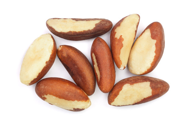 nut图片素材 nut设计素材 nut摄影作品 nut源文件下载 nut图片素材下载 nut背景素材 nut模板下载 - 搜索中心