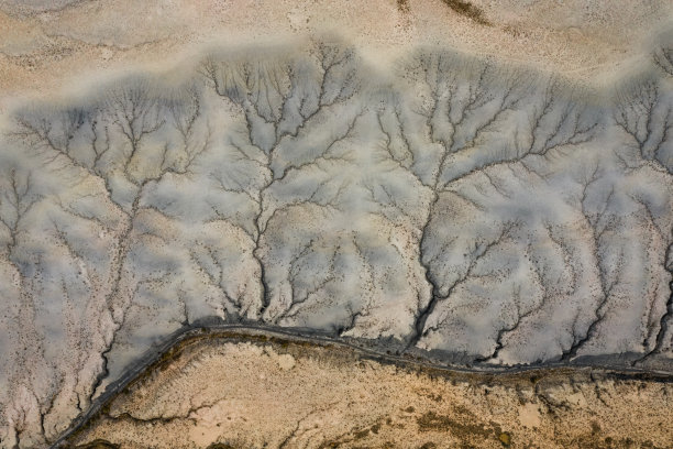 barren图片素材 barren设计素材 barren摄影作品 barren源文件下载 barren图片素材下载 barren背景素材 ...