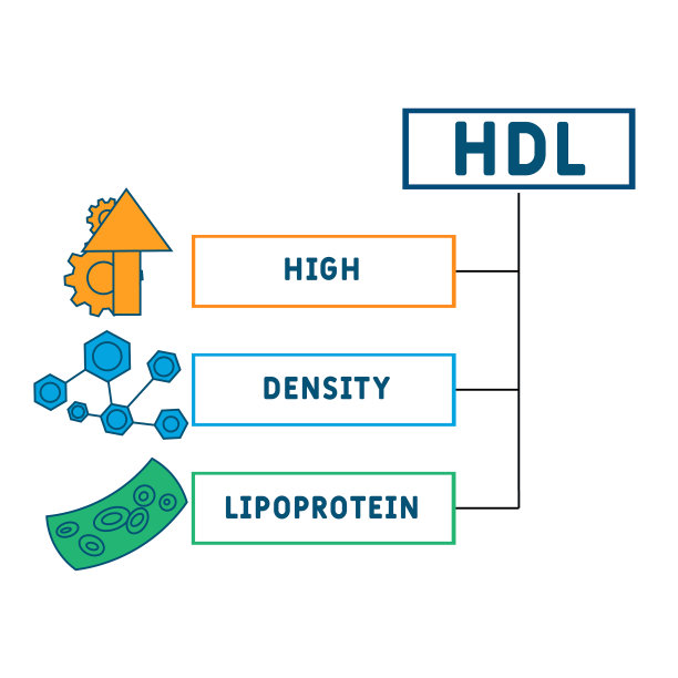 HDL标志图片素材 HDL标志设计素材 HDL标志摄影作品 HDL标志源文件下载 HDL标志图片素材下载 HDL标志背景素材 HDL标志模板 ...