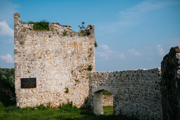 丰收的羊角,南瓜地,收获节图片素材下载-汇图网